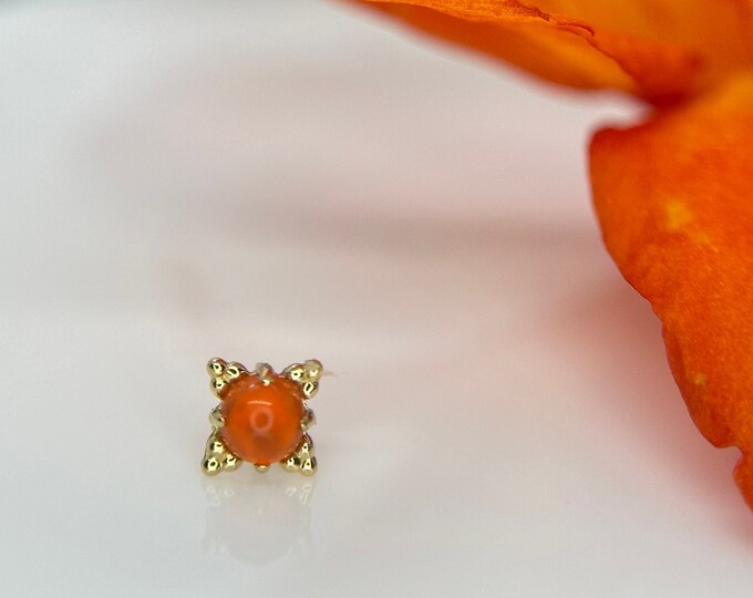 Genuine Carnelian 2.5mm Zia Anatometal 18K Yellow Gold Jewelry, Perfect for Helix, Conch, Lobe ...