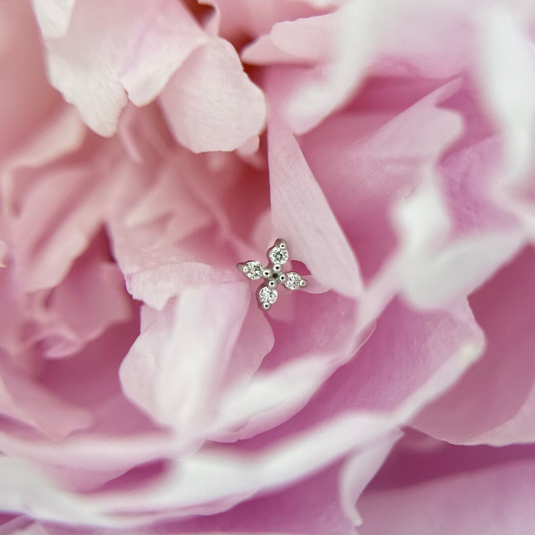 Genuine Diamond Crux From Ember Body Jewelry 14kt White Gold for Helix ...