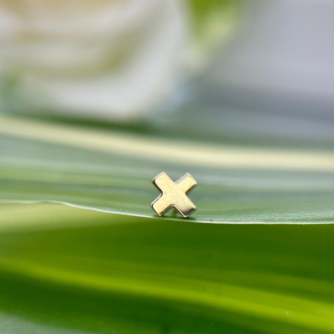 Plus Sign From Mushroom 14K Yellow Gold Threadless Jewelry, Perfect for ...