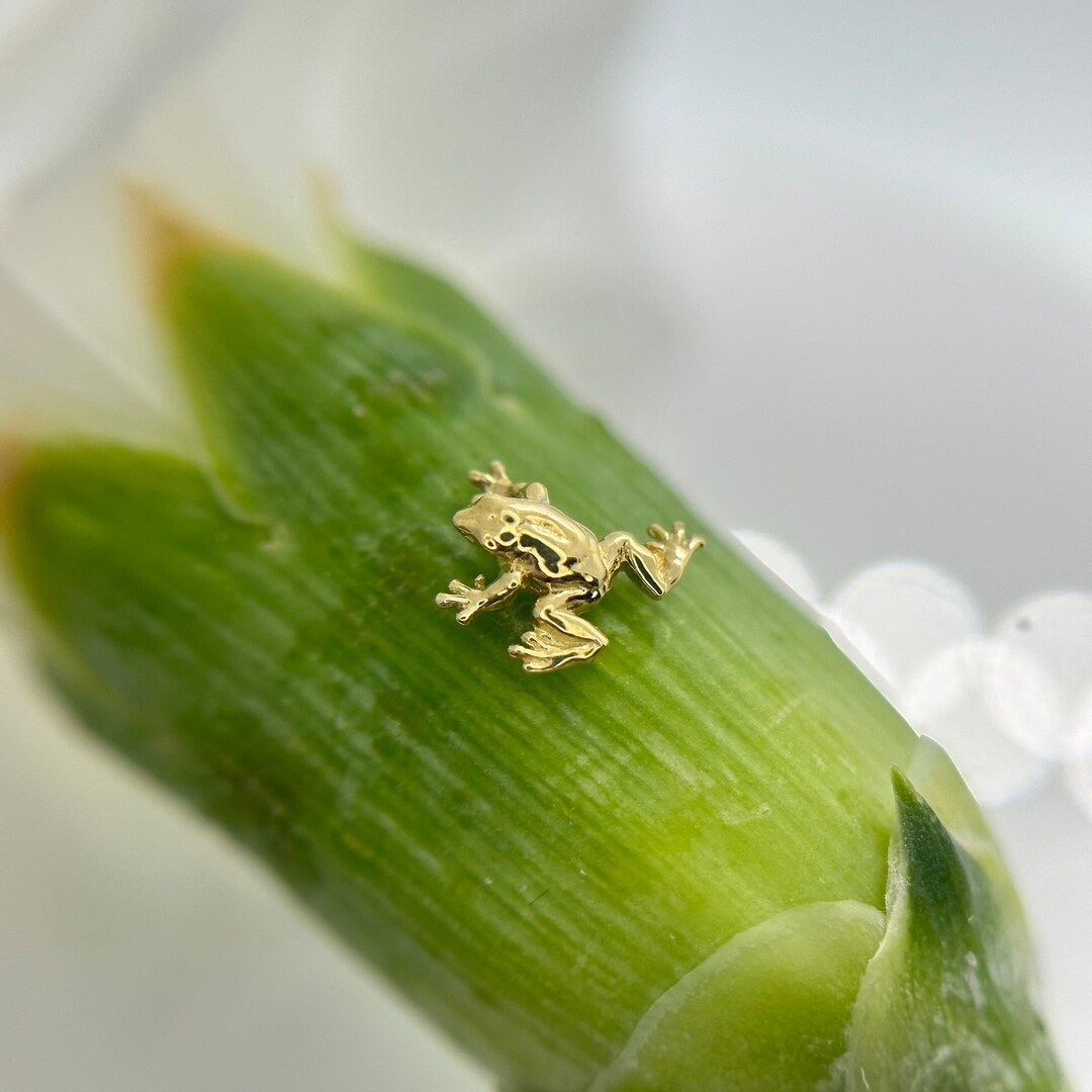 Anatometal Tree Frog Left 18K Yellow Gold Threadless Jewelry, Perfect ...