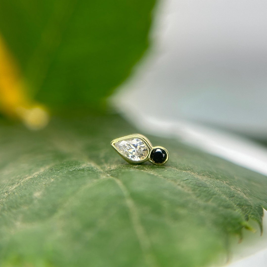 Anatometal Icon 18k Yellow Gold Threadless End With Genuine Black ...