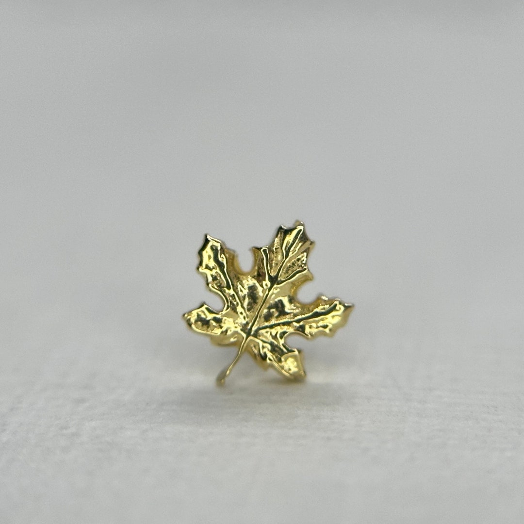 Anatometal Maple Leaf 18k Yellow Gold - Threadless End - Conch, Flat, Nostil, Lobe Piercings - Etsy