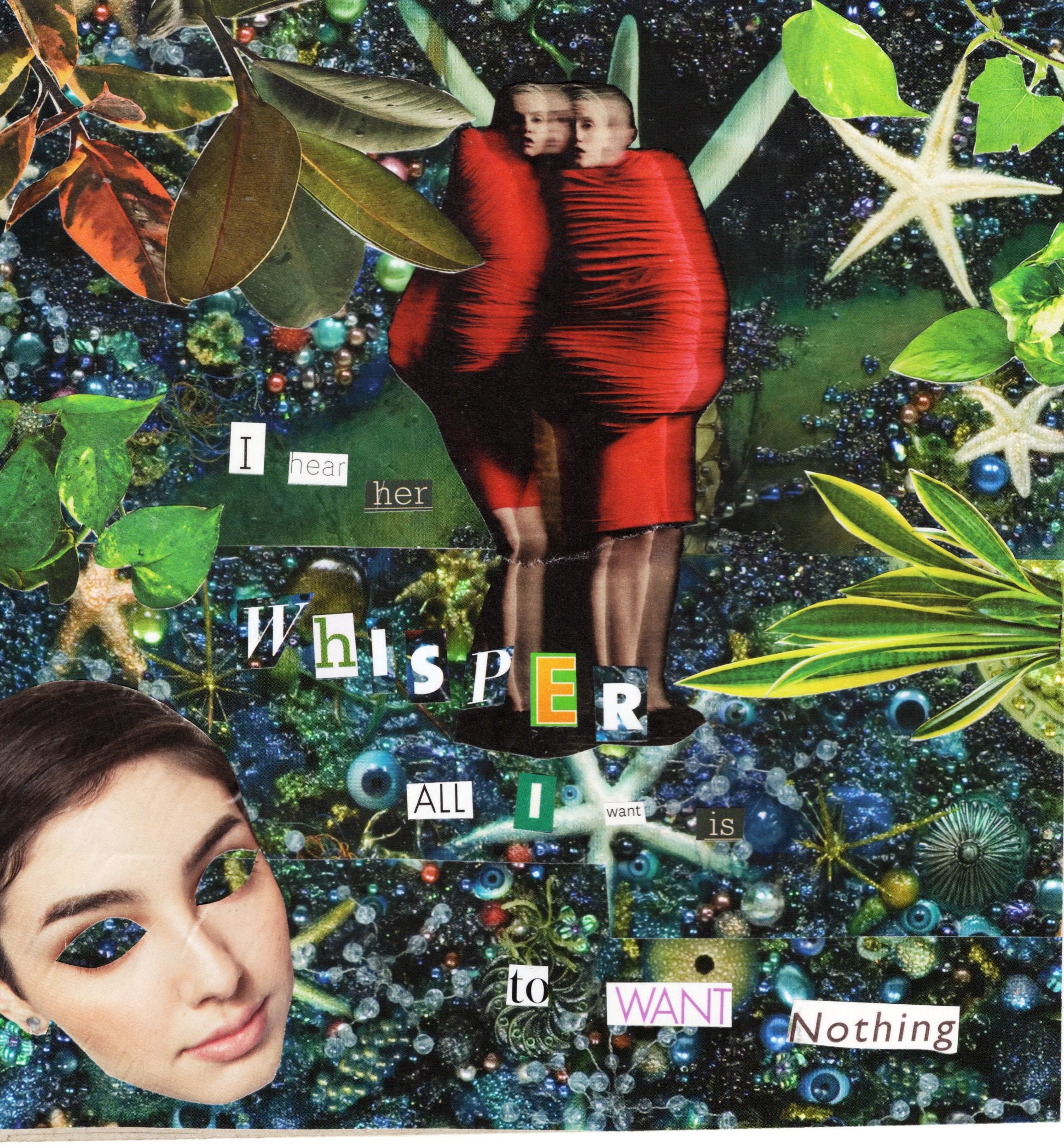 The Front Bottoms Album Cover Art