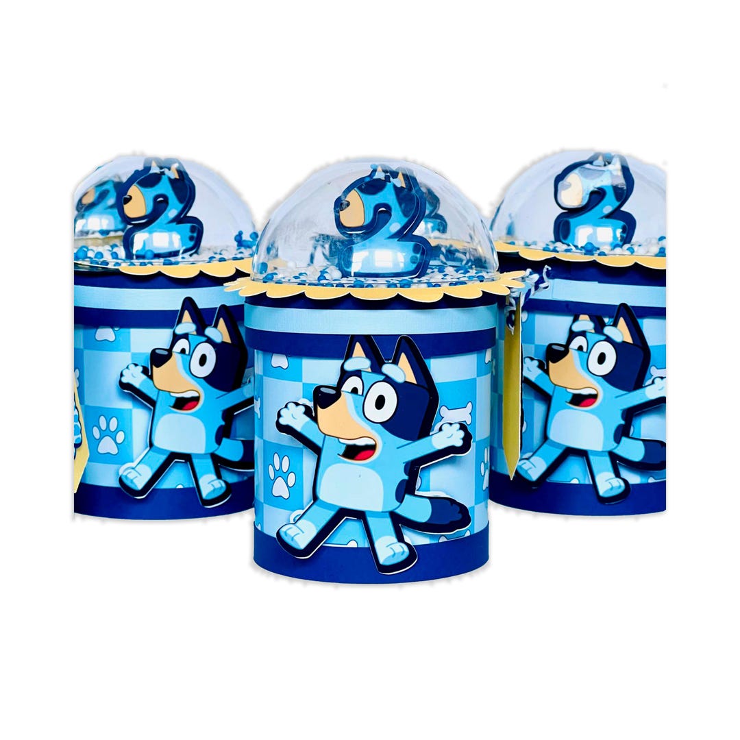 Bluey Pringles Shaker, Pringles Can, Bluey Party favors, Bluey shaker ...