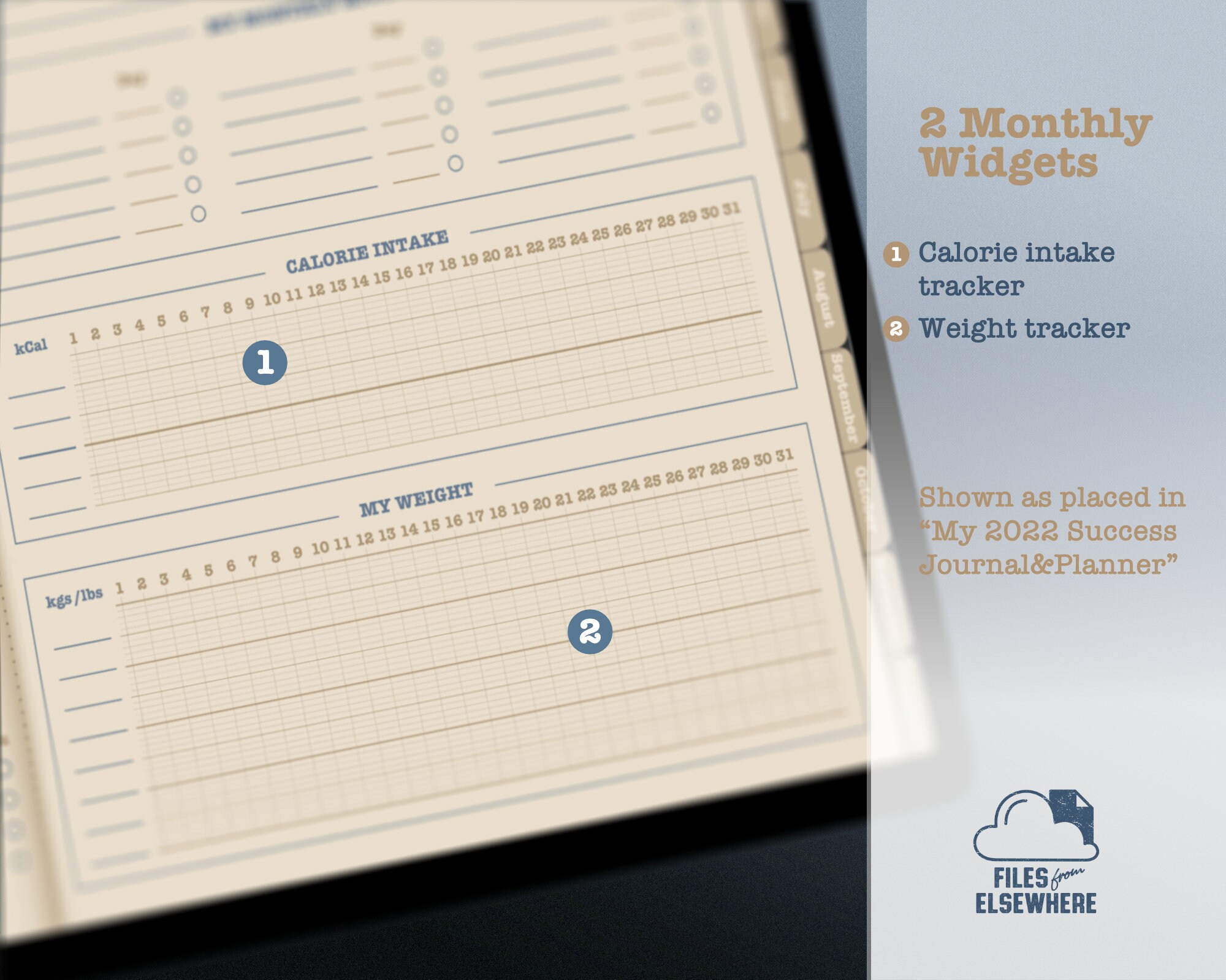 Diet & Weight Widgets PNG Inserts for Existing Digital - Etsy