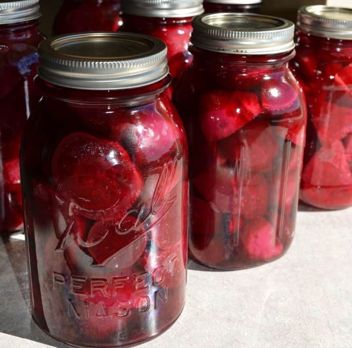 Pickled Beets Quart Size - Etsy