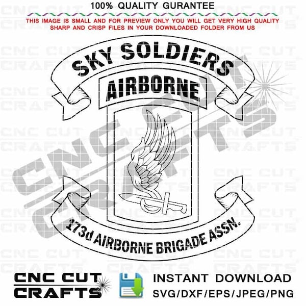 173rd Airborne Brigade Svg - Etsy