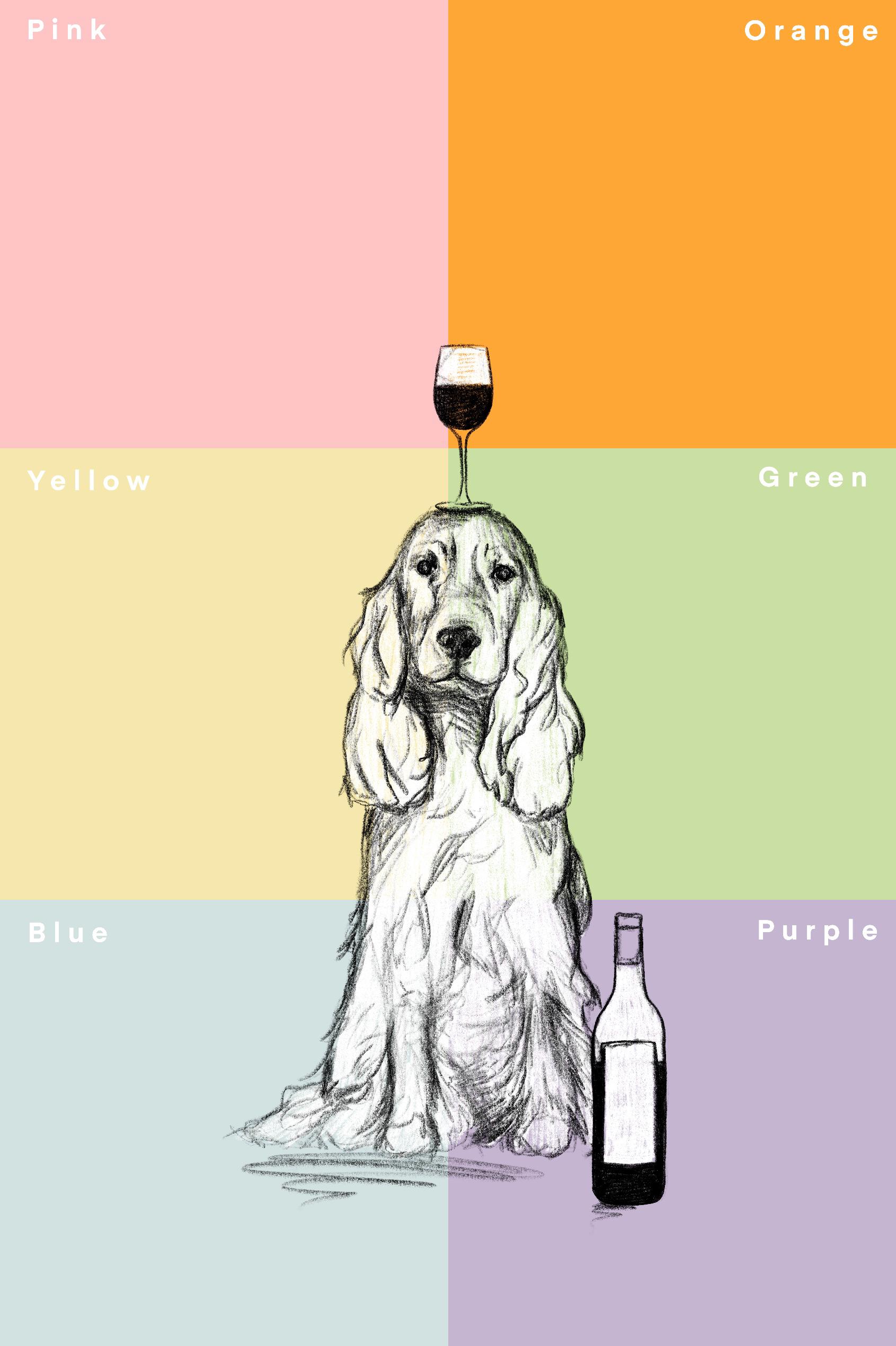 Cocker Spaniel Wall Art, Cocker Spaniel Drawing, Dog Lovers Gift ...