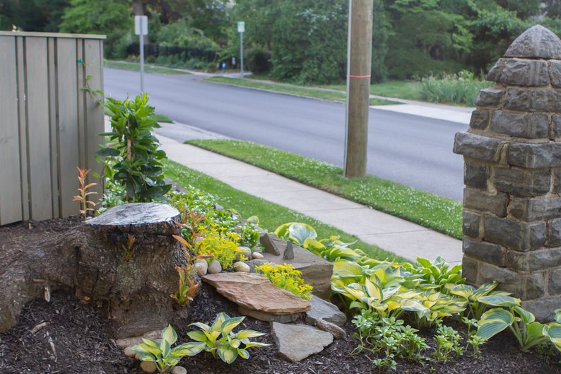 Sweet Stump Box MAKERS GUIDE - Make an Ugly Tree Stump Into A Colorful ...