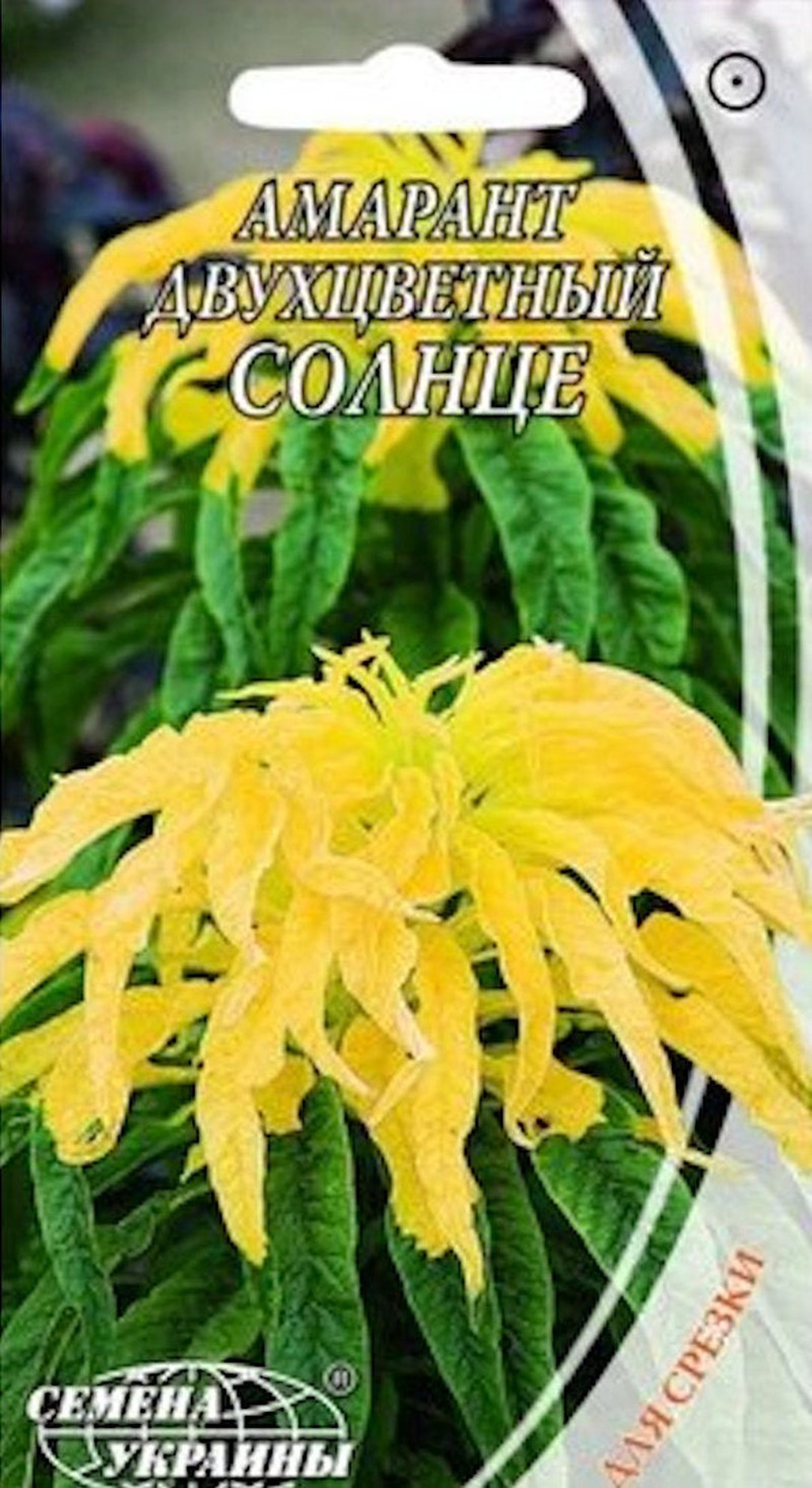 Organic Flower Seeds Amaranth Dual Color sun - Etsy