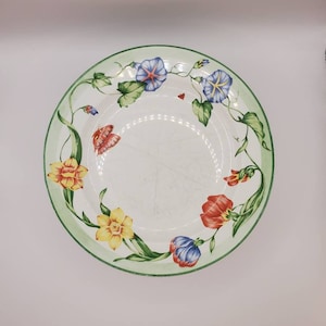 Coventry Porcelain Secret Garden Dinnerware Replacement Pieces Priced ...