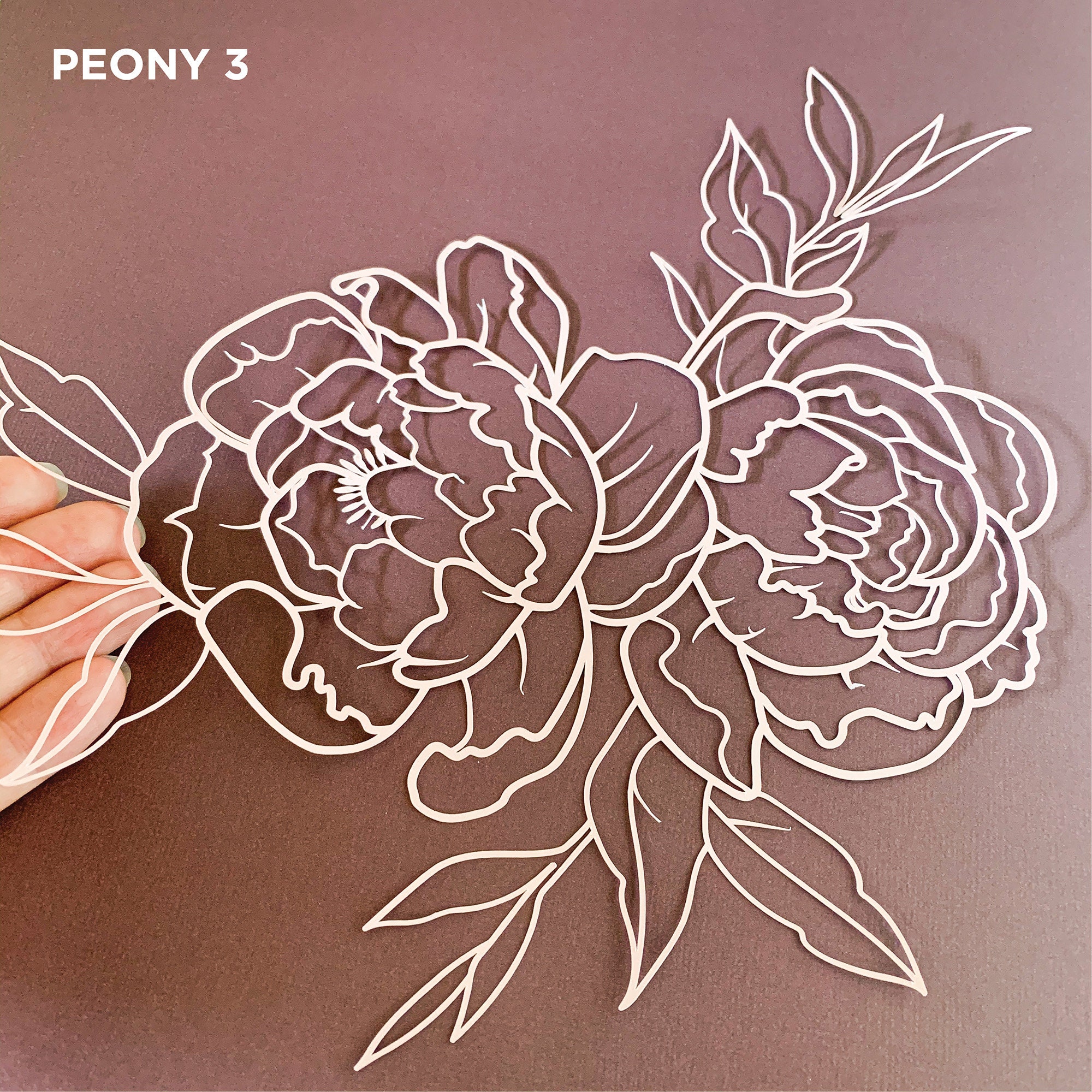 Peony Floral SVG Files for Cricut / 3 Pack Bundle / Cutting File ...