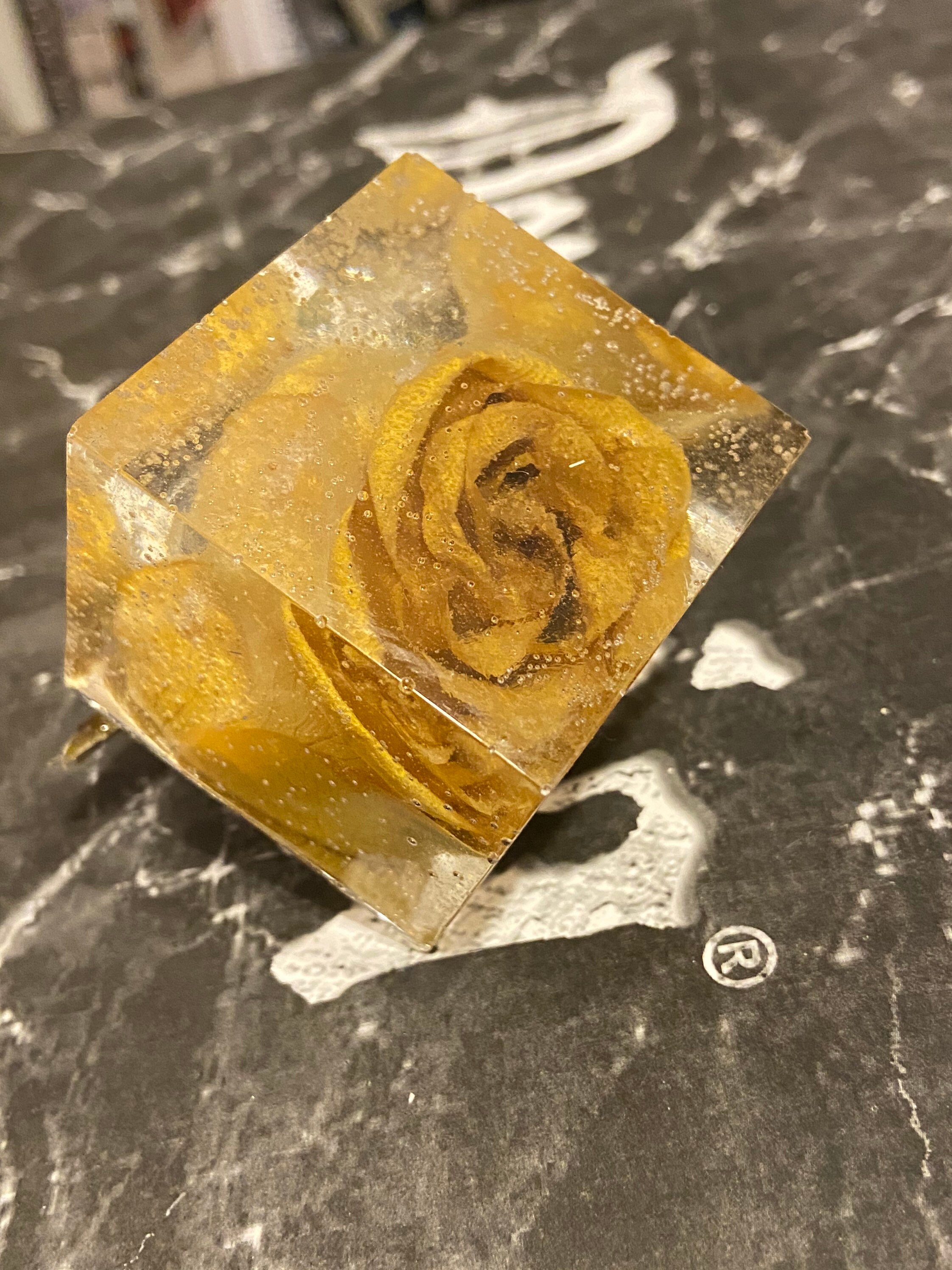 Resin Encased Rose - Etsy