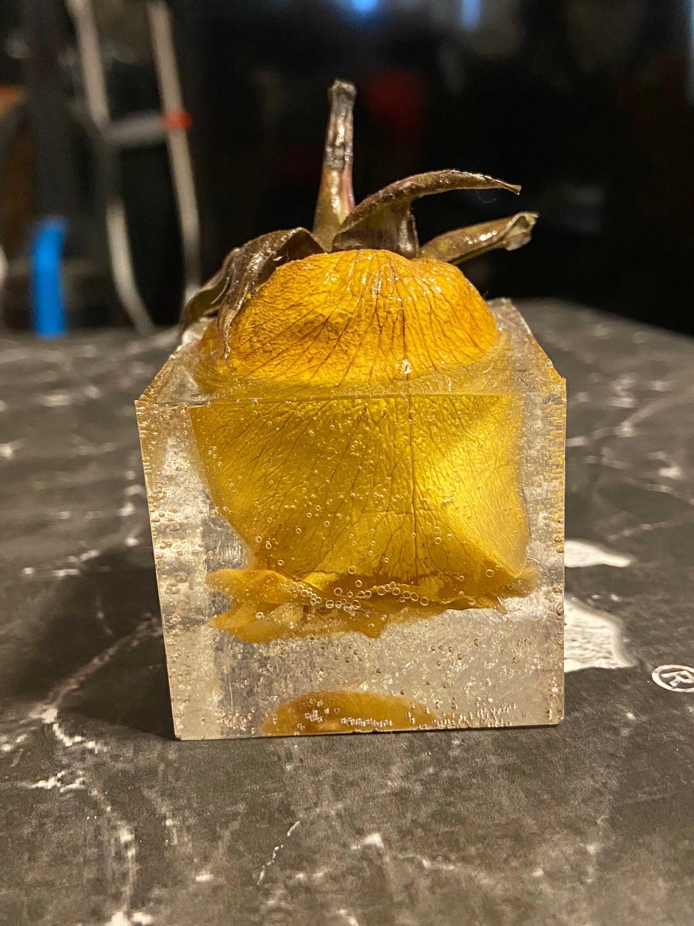 Resin Encased Rose - Etsy