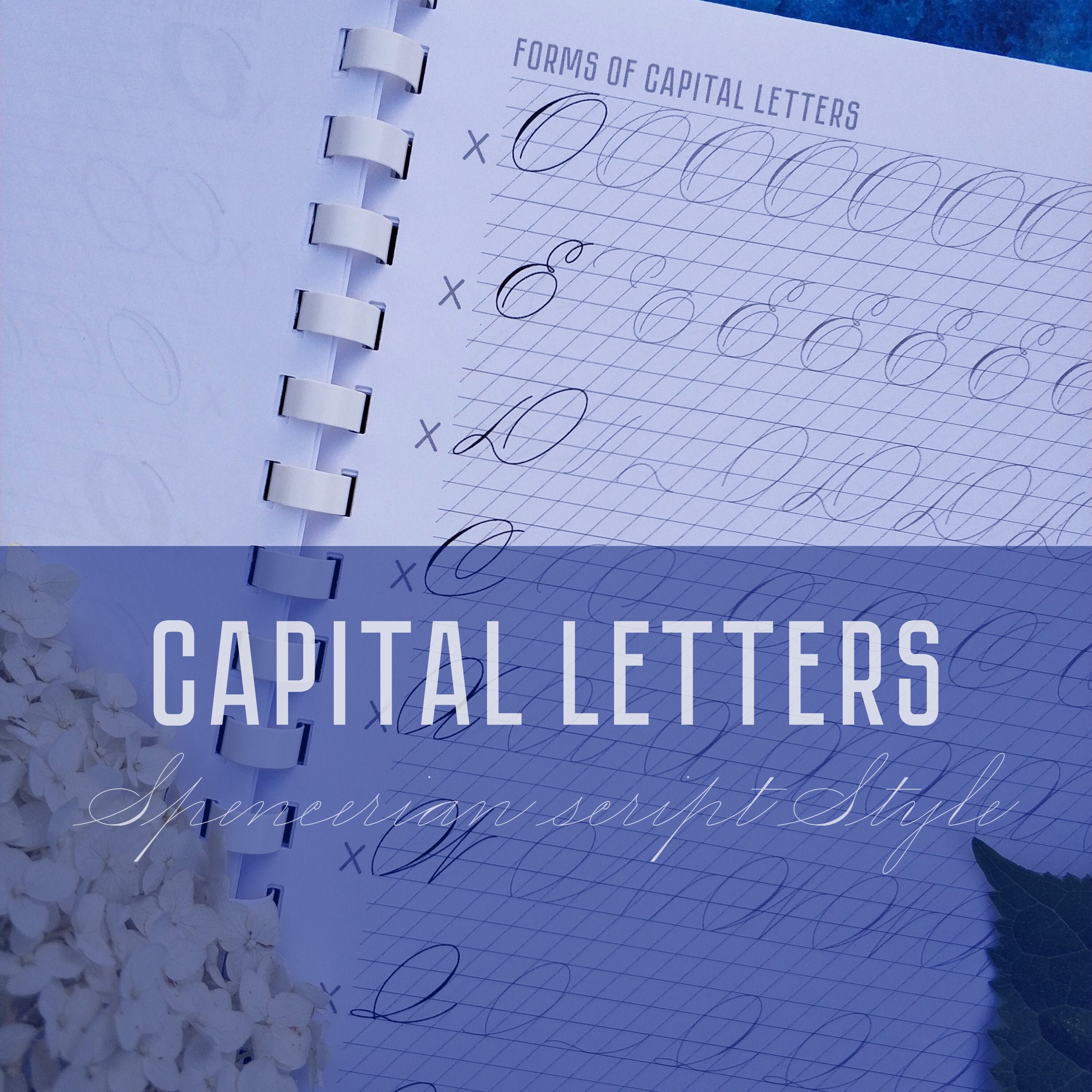 Spencerian Capital Letters Uppercase Spencerian Script | Etsy