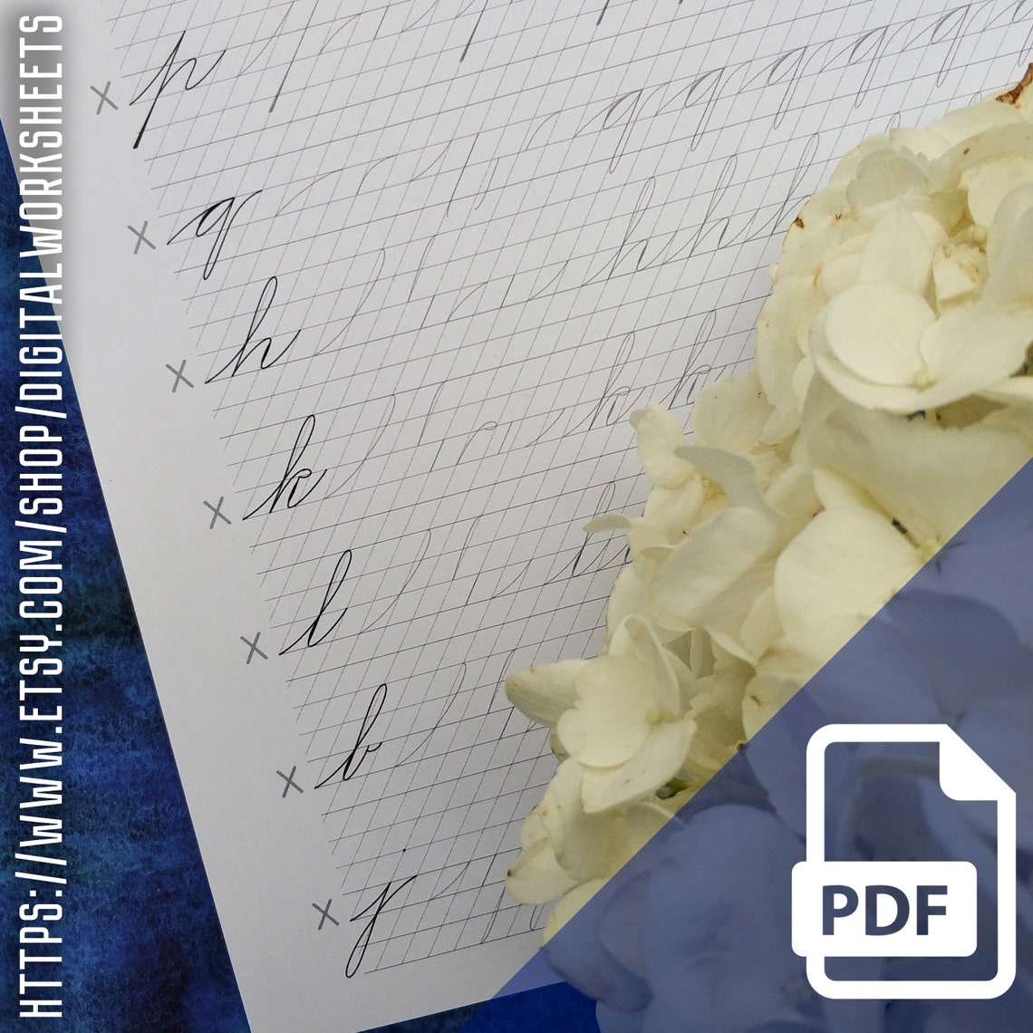 Spencerian Lowercase Letters Spencerian Script Calligraphy | Etsy