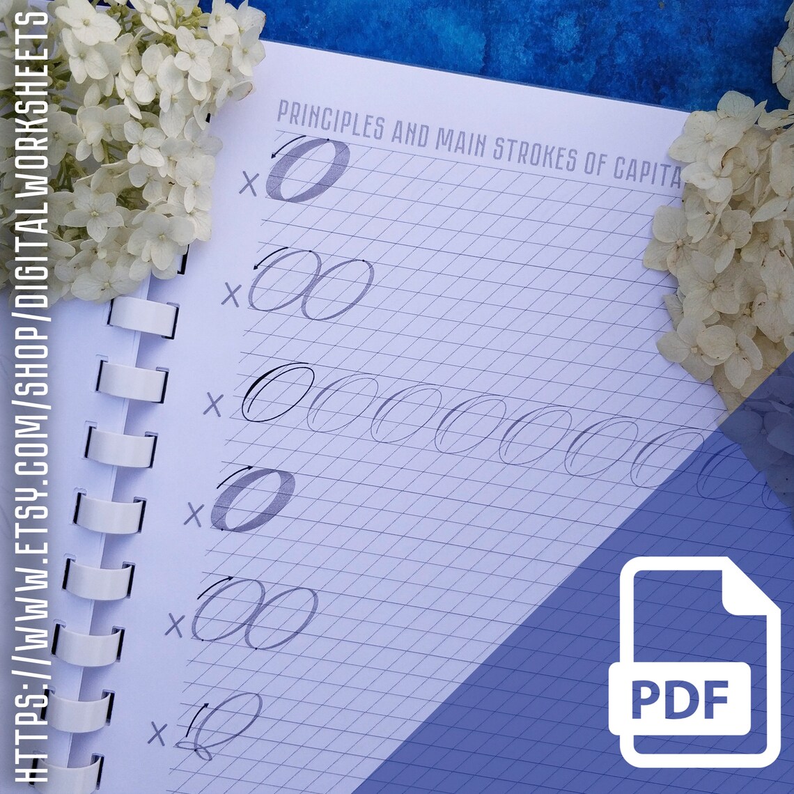 Spencerian Capital Letters Uppercase Spencerian Script | Etsy