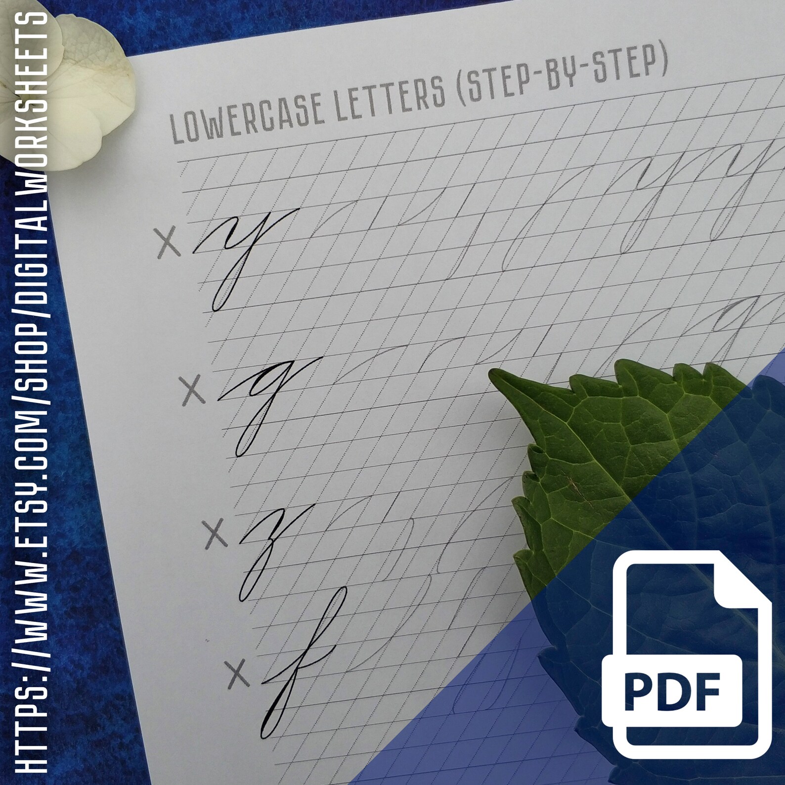 Spencerian Lowercase Letters Spencerian Script Calligraphy | Etsy