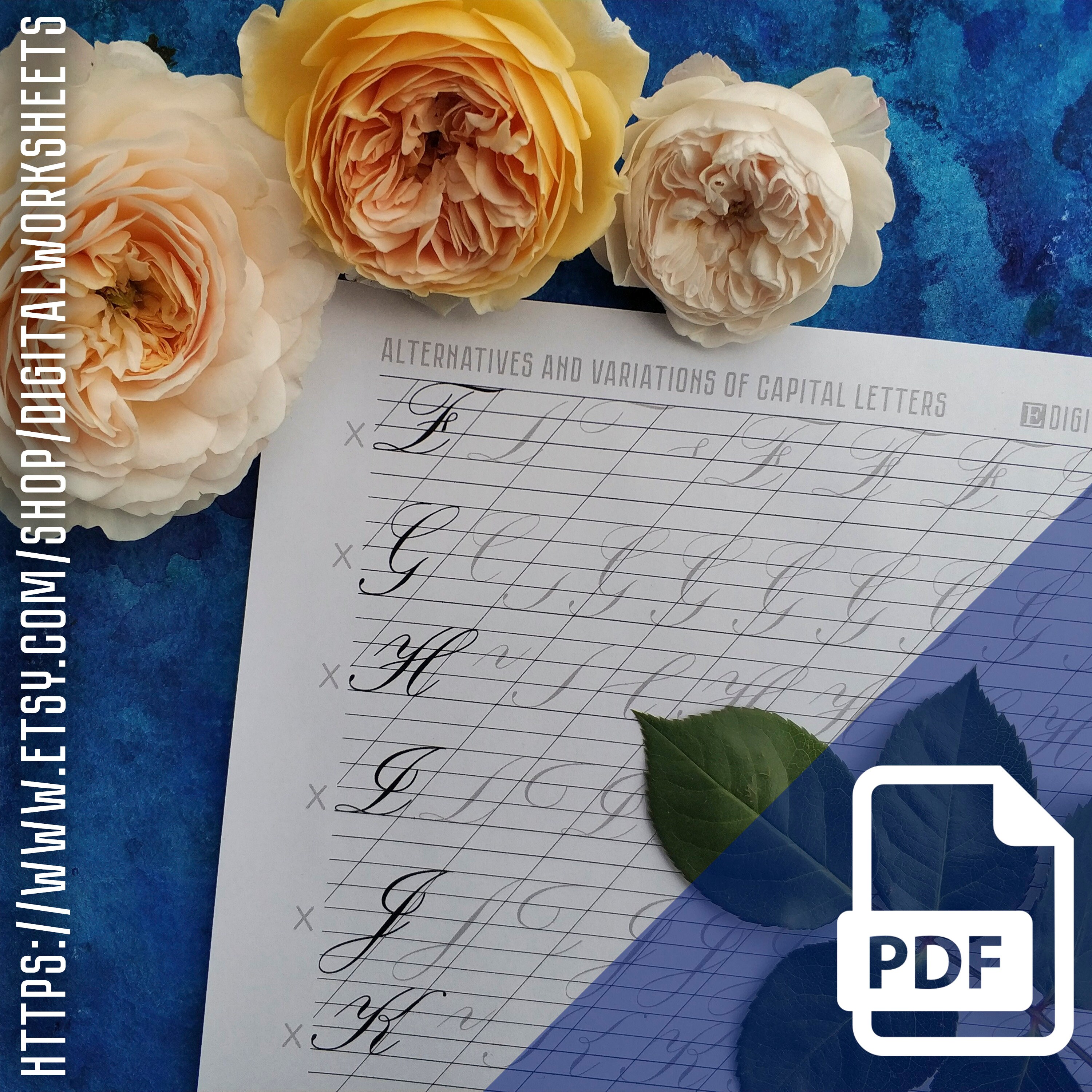 Capital letters of Copperplate Calligraphy Style Uppercase | Etsy