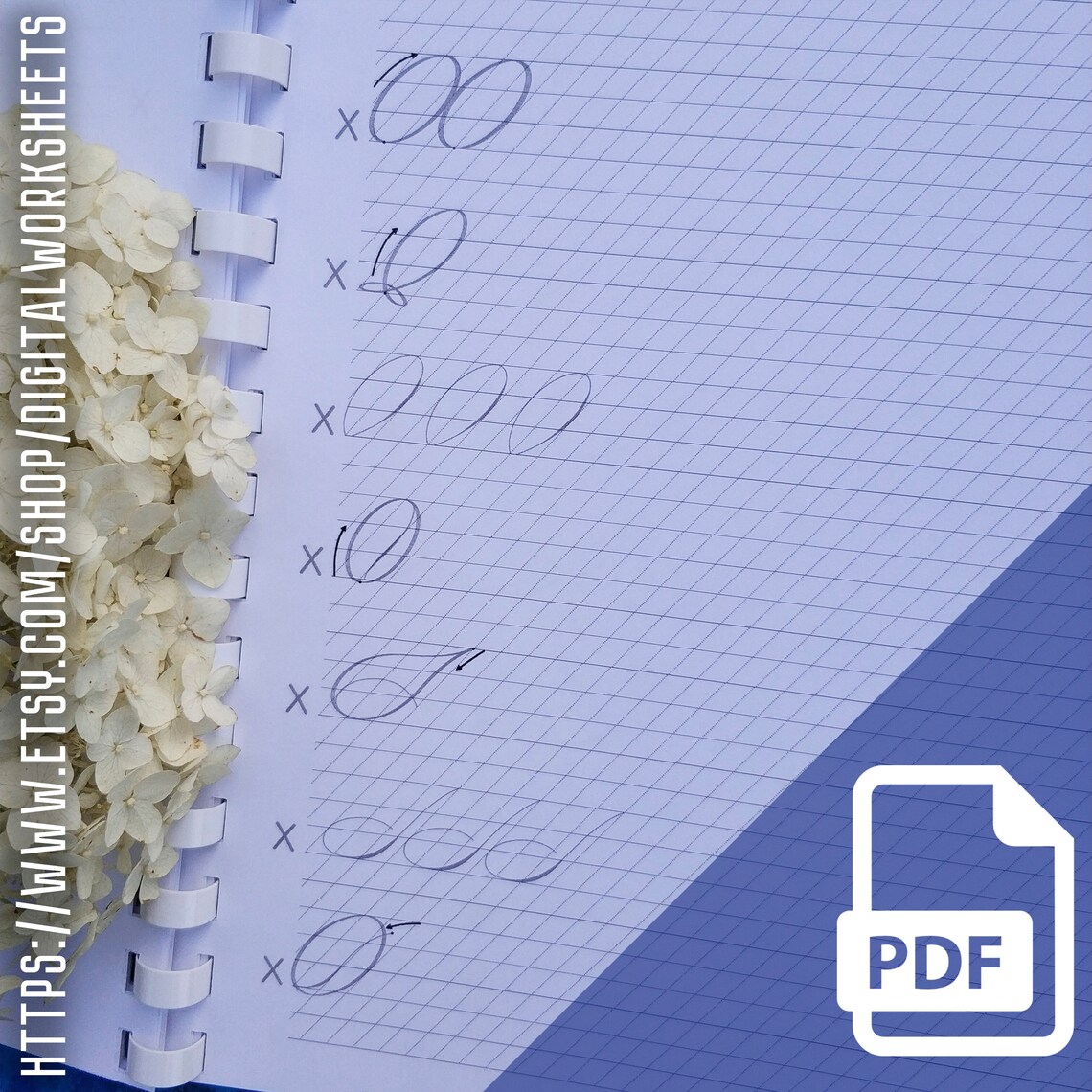 Spencerian Capital Letters Uppercase Spencerian Script | Etsy