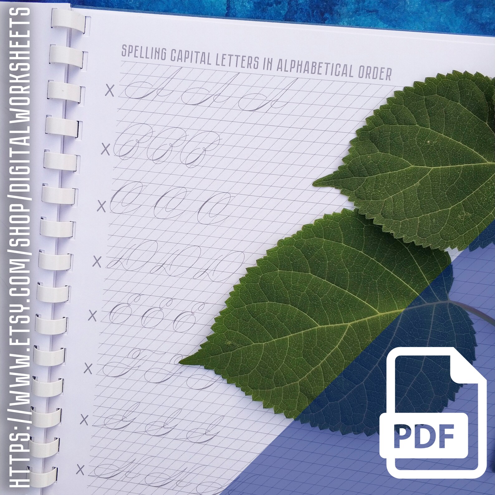 Spencerian Capital Letters Uppercase Spencerian Script | Etsy