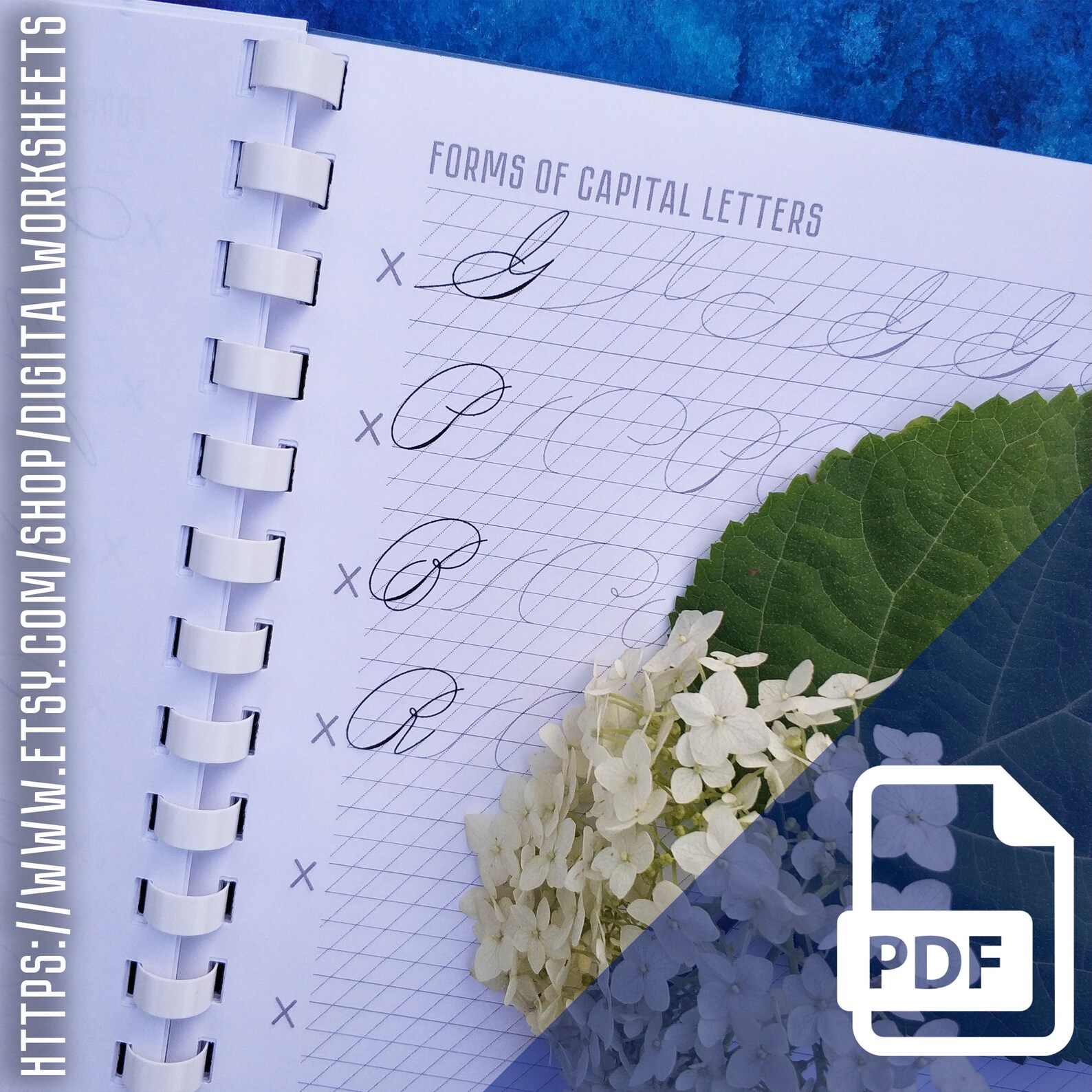 Spencerian Capital Letters Uppercase Spencerian Script | Etsy