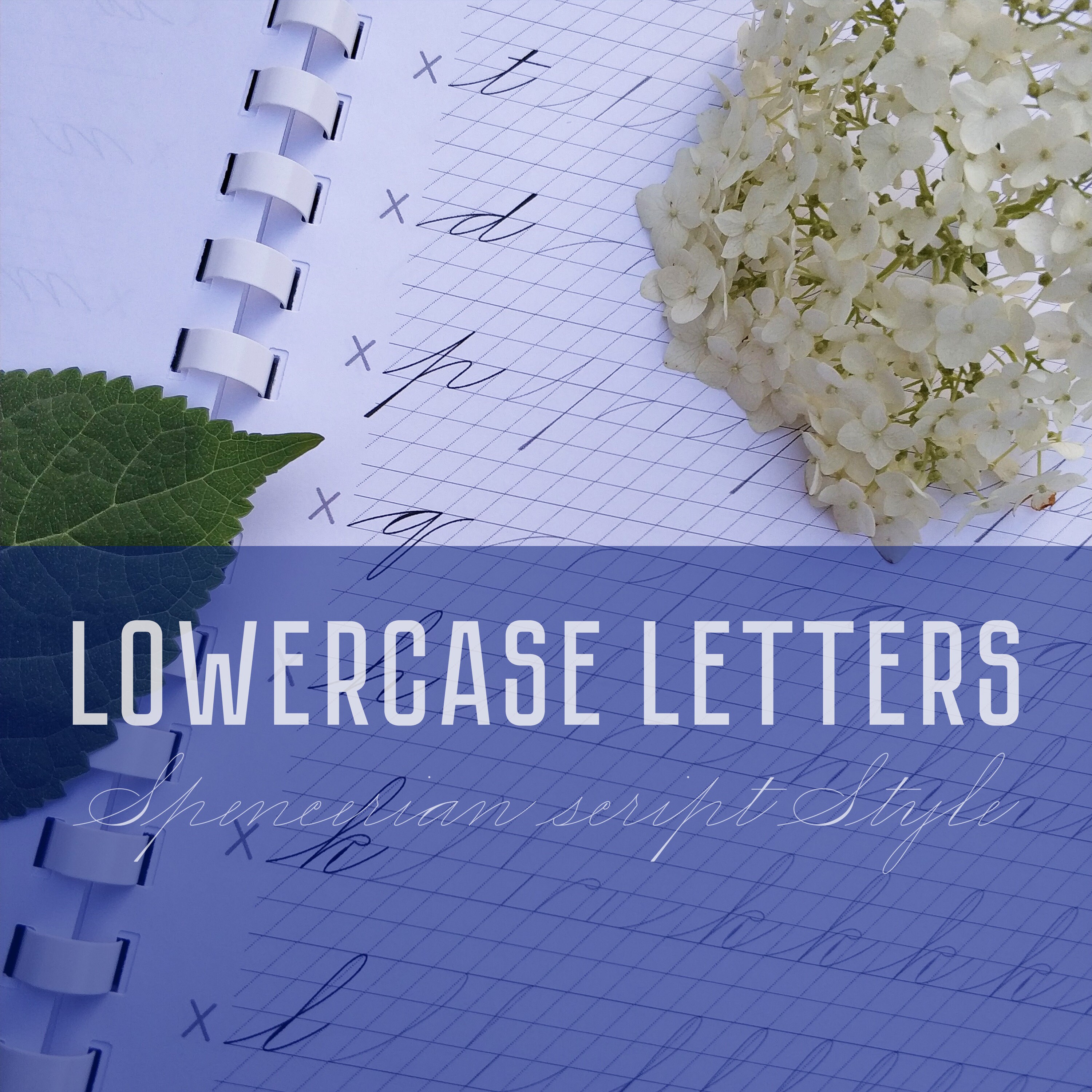 Spencerian Lowercase Letters Spencerian Script Calligraphy | Etsy