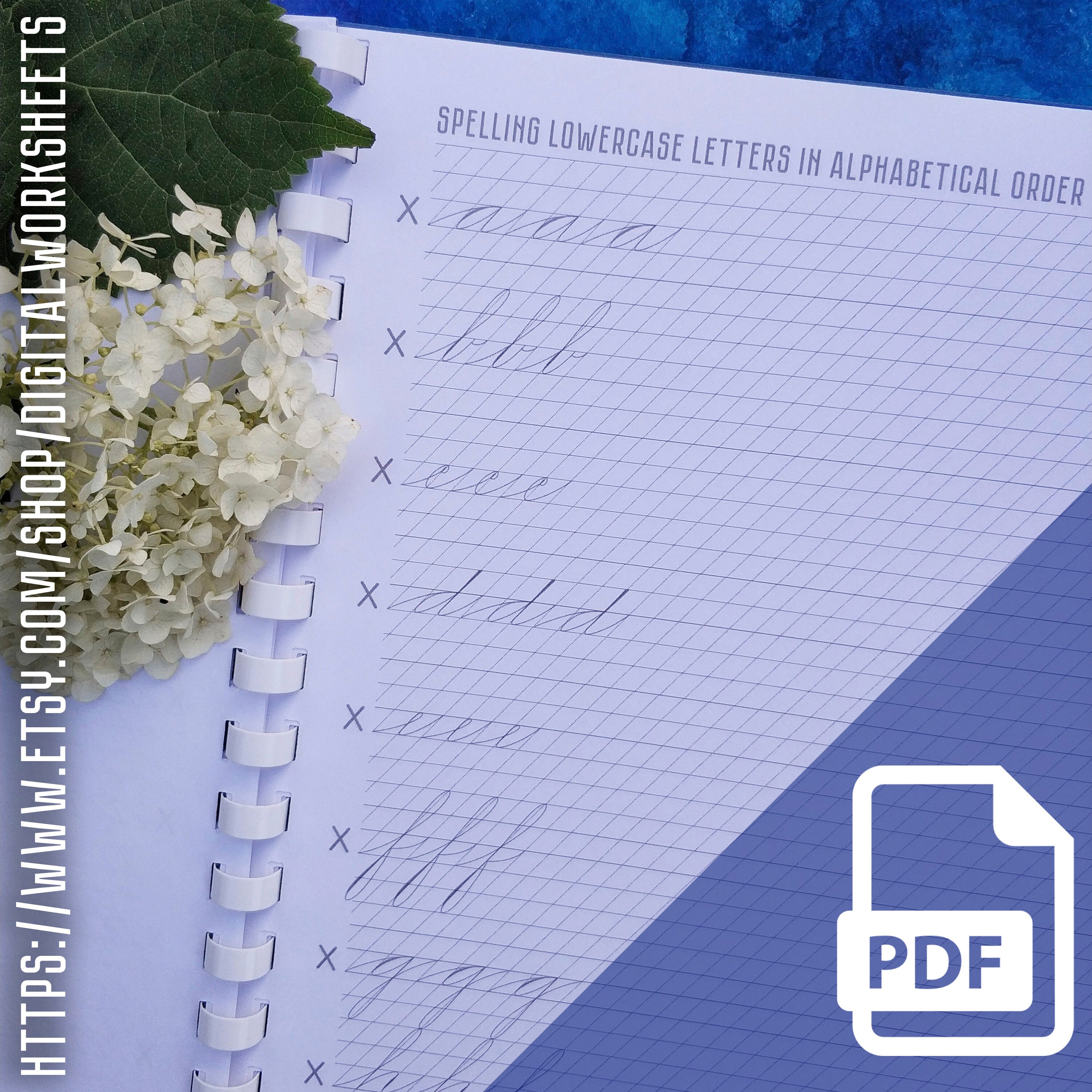 Spencerian Lowercase Letters Spencerian Script Calligraphy | Etsy