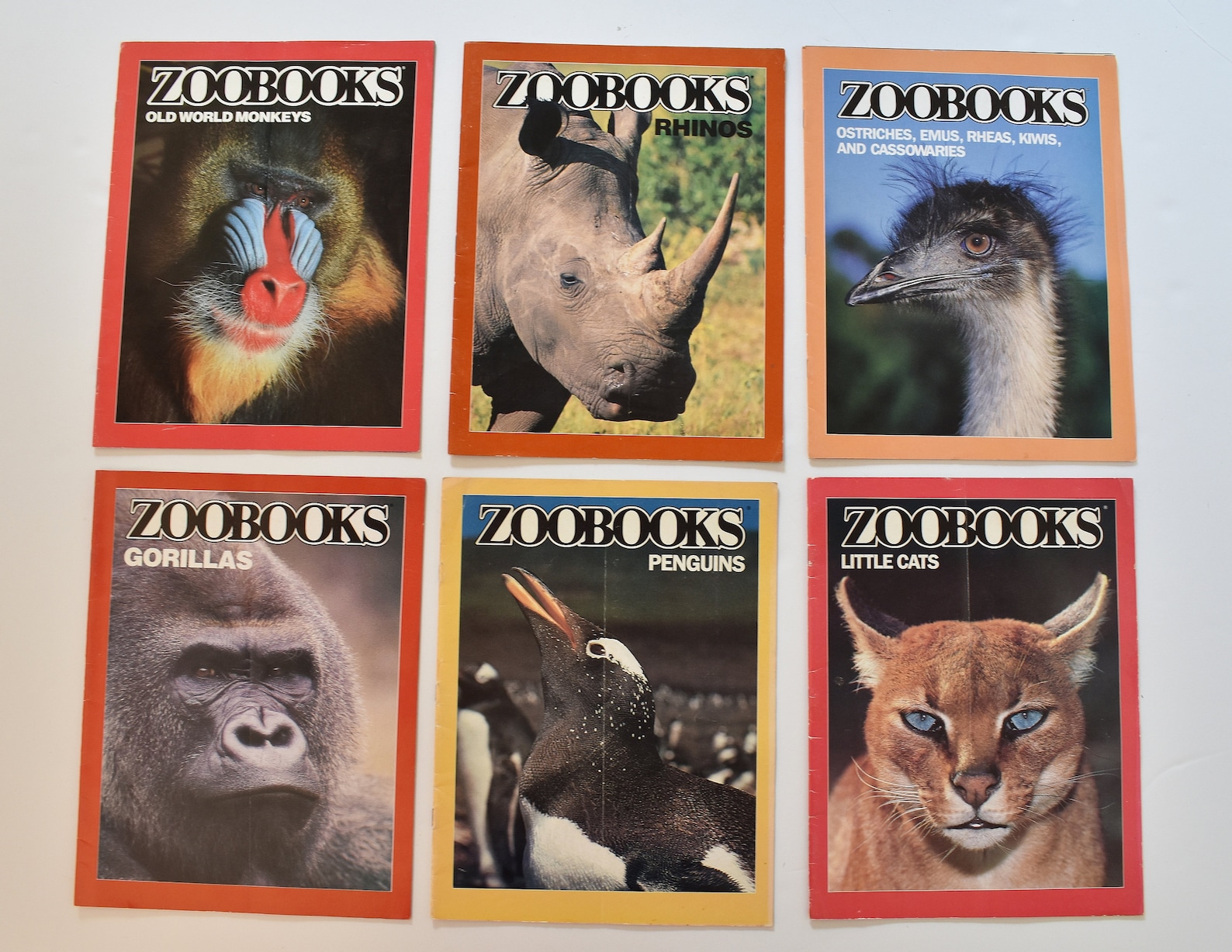 Vintage Zoobooks Magazines Lot of 12 1980s-1990s | Etsy