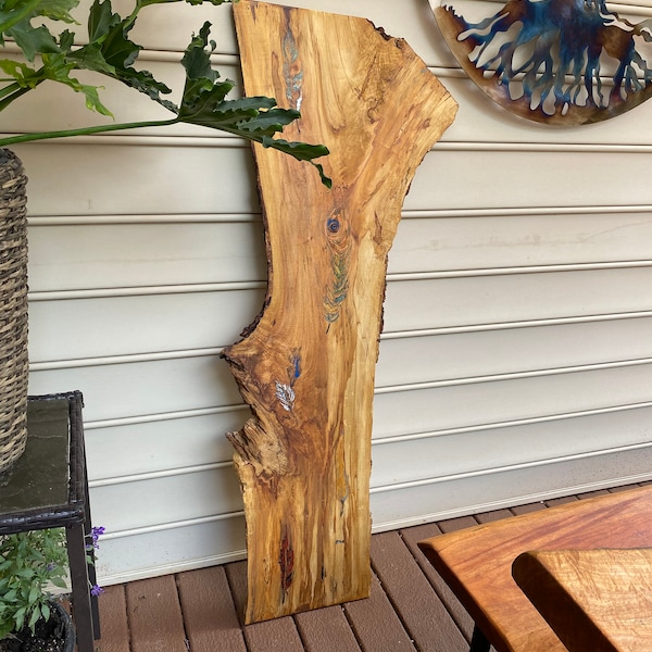 Live Edge Wall Art - Etsy