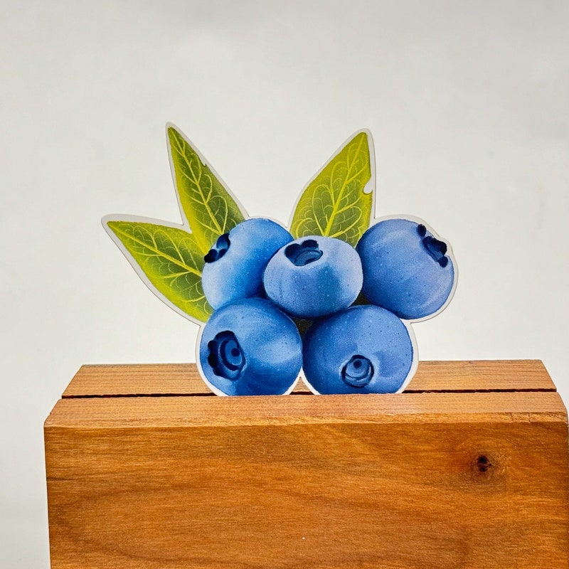 Blueberry Friend Card - Etsy