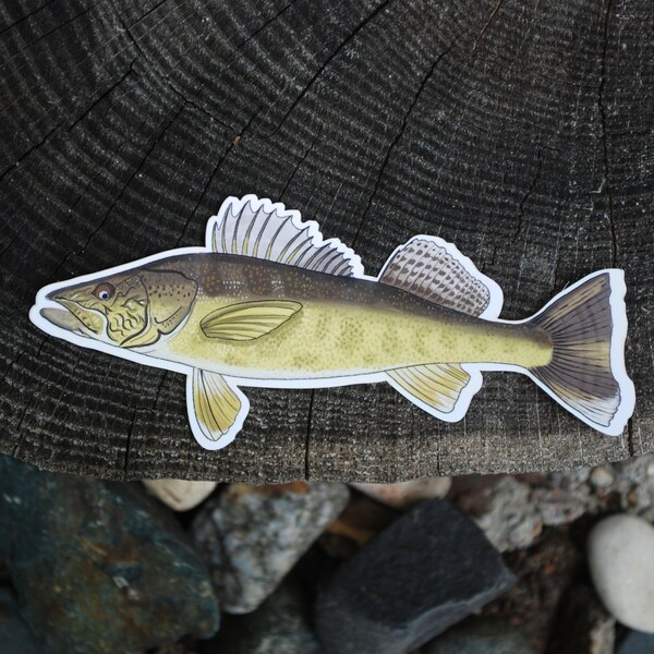 Walleye Sticker - Etsy