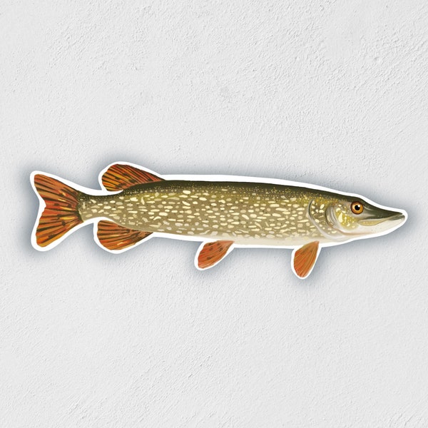 Northern Pike - Etsy