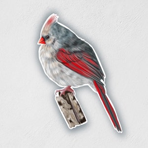 Female Cardinal Sticker | Waterproof Sticker | Birthday Gift | Bird ...
