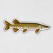Good Catch Sticker | Fishing Decal | Waterproof Sticker | Midwest ...