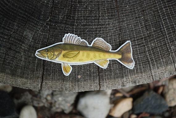 Walleye Sticker
