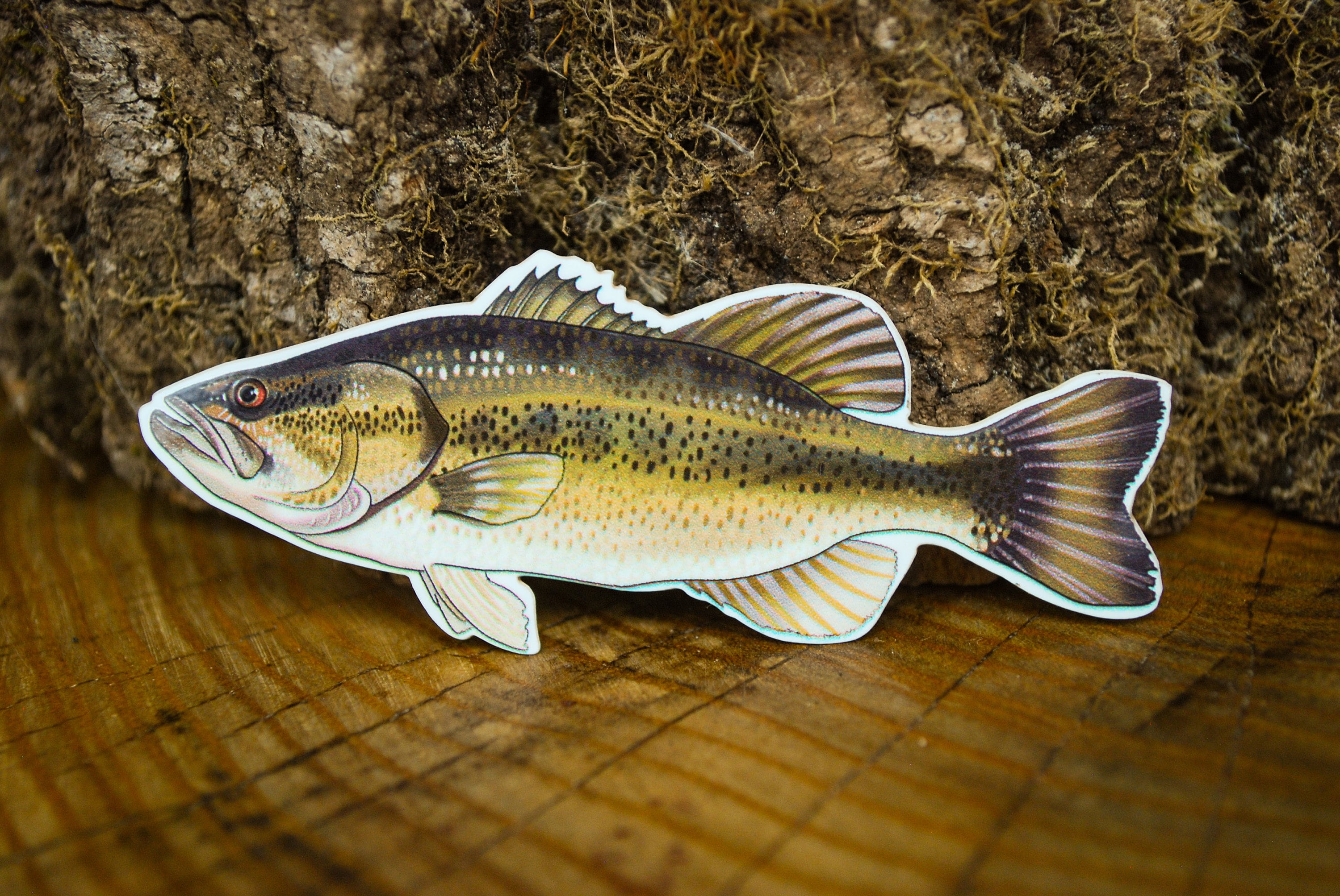Largemouth Bass Sticker Fish Sticker Waterproof Sticker Laptop Stickers ...