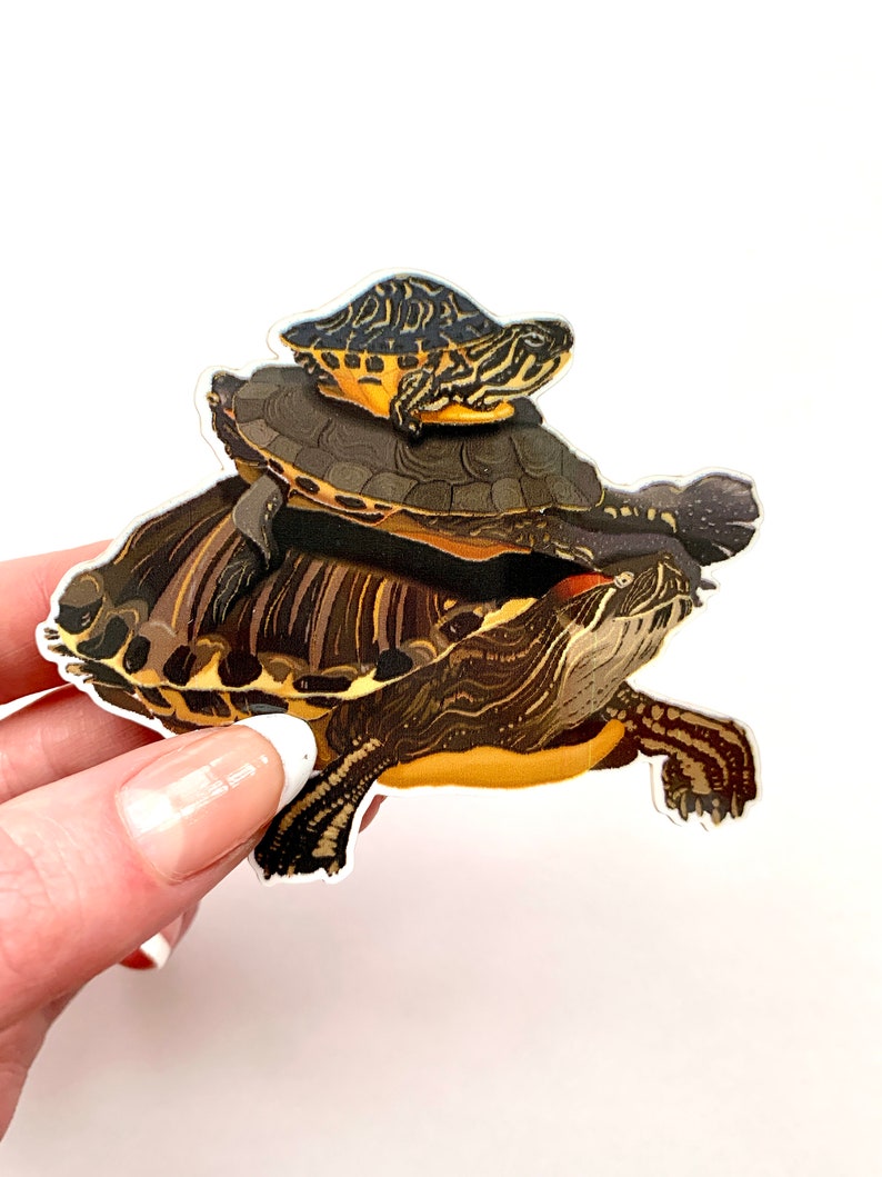 Turtles Sticker Waterproof Sticker Lake Life Decal - Etsy