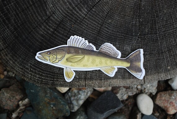 Walleye Sticker