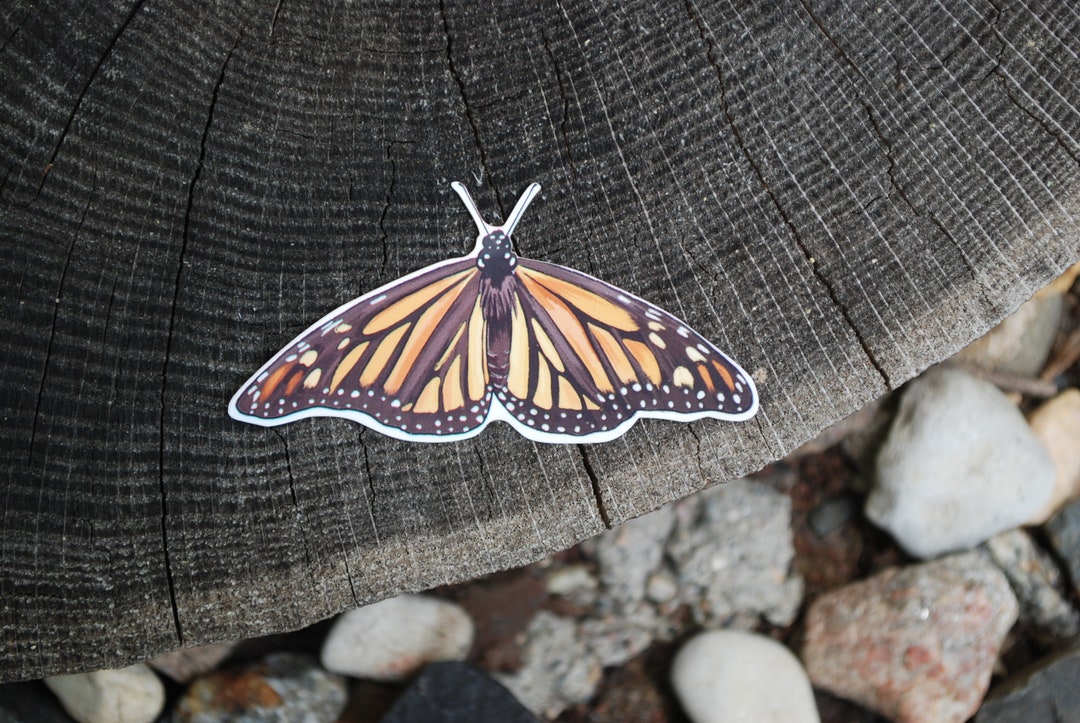 Monarch Sticker Waterproof Sticker Butterfly Decal Laptop Sticker Best ...