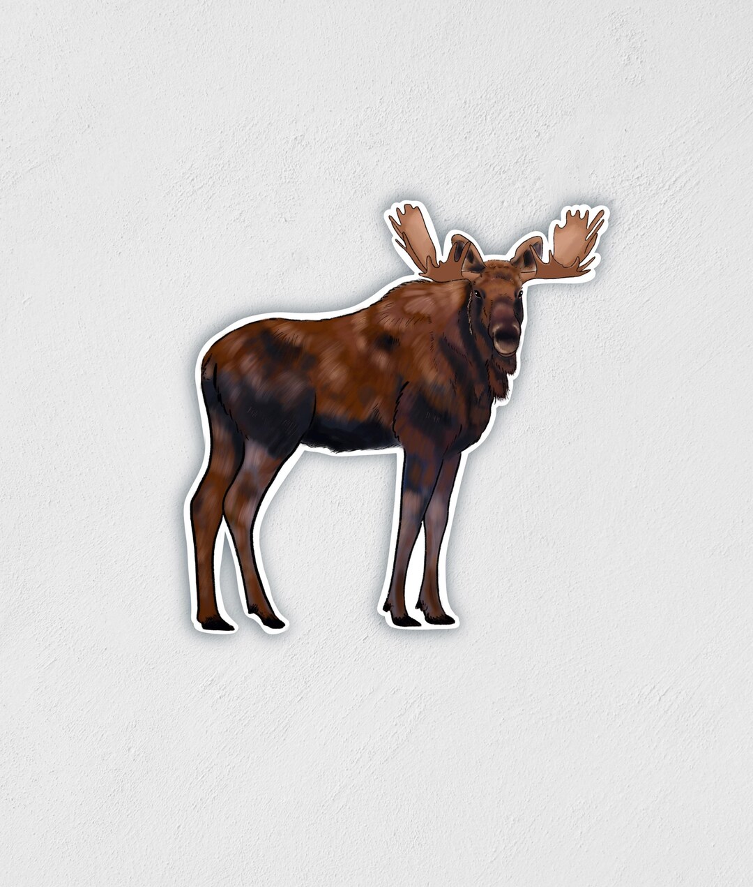 Waterproof Moose Sticker: Hand-drawn Forest Animal Decal - Etsy