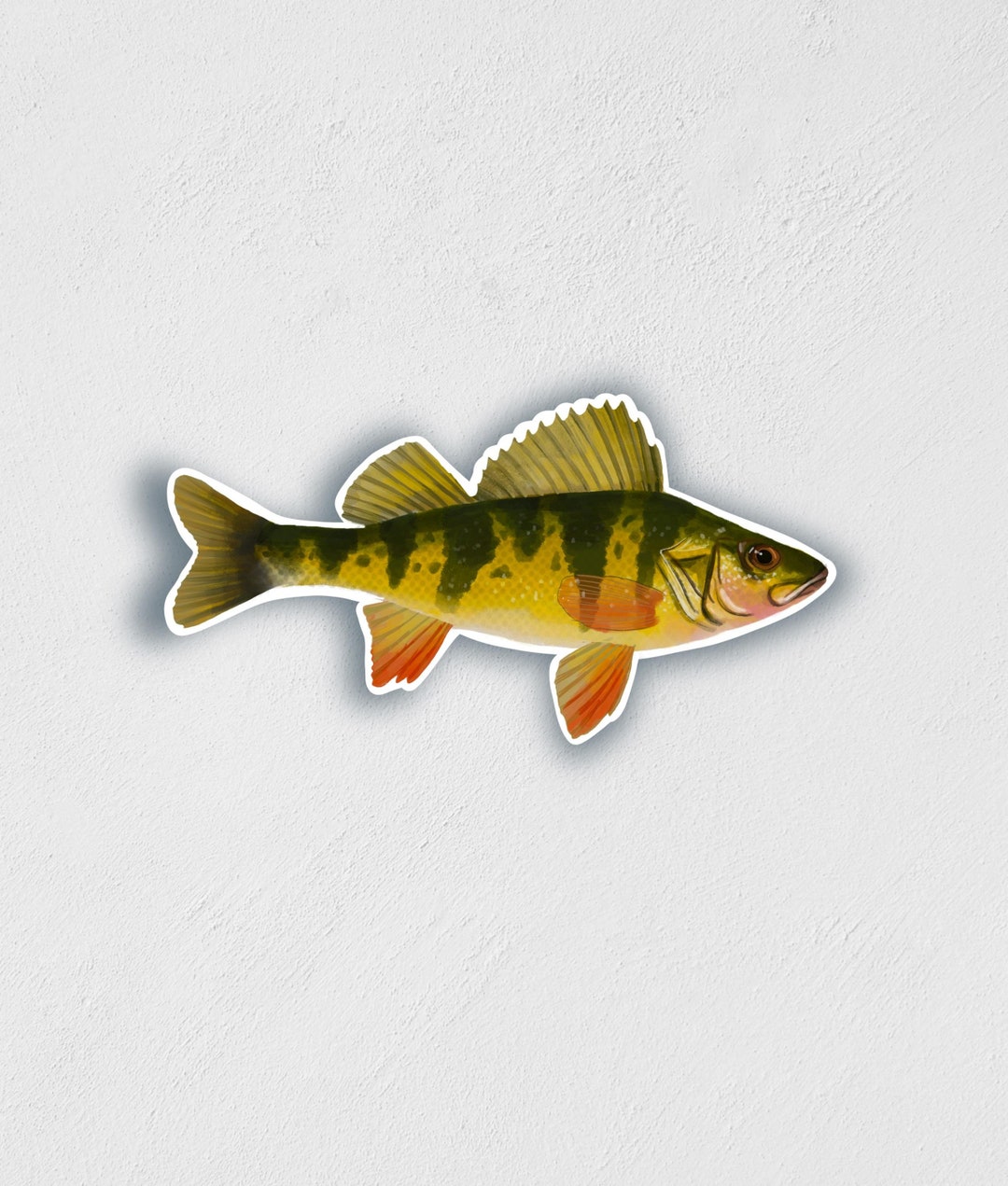 Yellow Perch Sticker: Waterproof Lake Fish Decal - Etsy