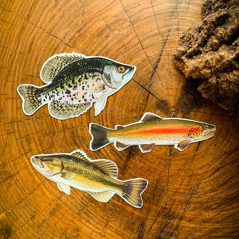 Fish Stickers - Etsy