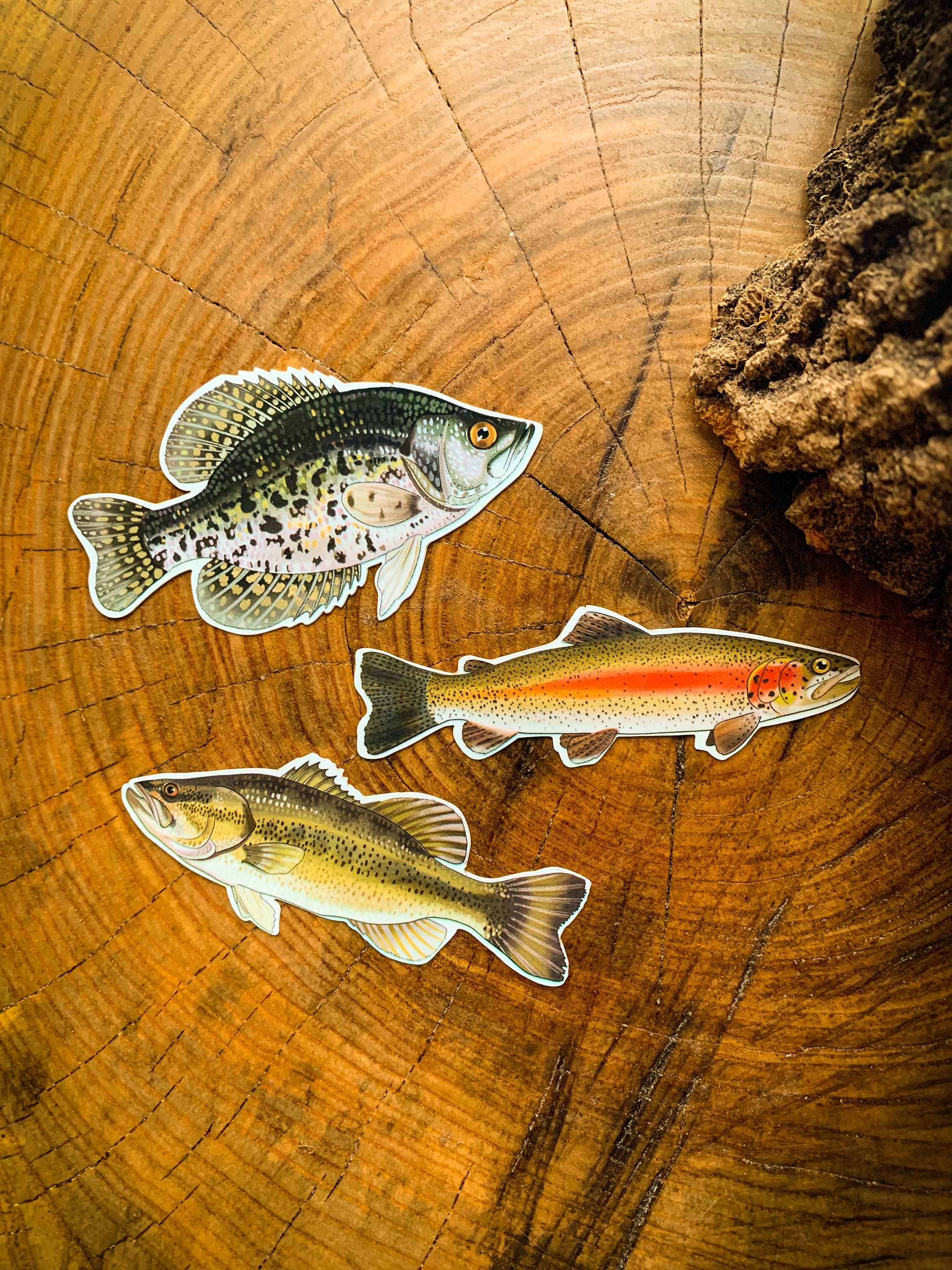 Lake and River Fish Sticker Pack 3 for Ten Dollars Crappie, Bass, Trout ...
