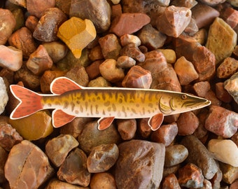 Bald Eagle Sticker Bald Eagle Birthday Gift Teacher Gift Waterproof ...