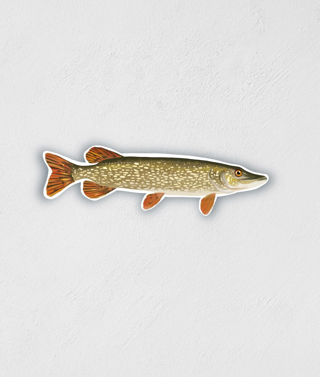 Northern Pike Sticker: Waterproof Fish Decal (3.6" X 1.2") - Etsy
