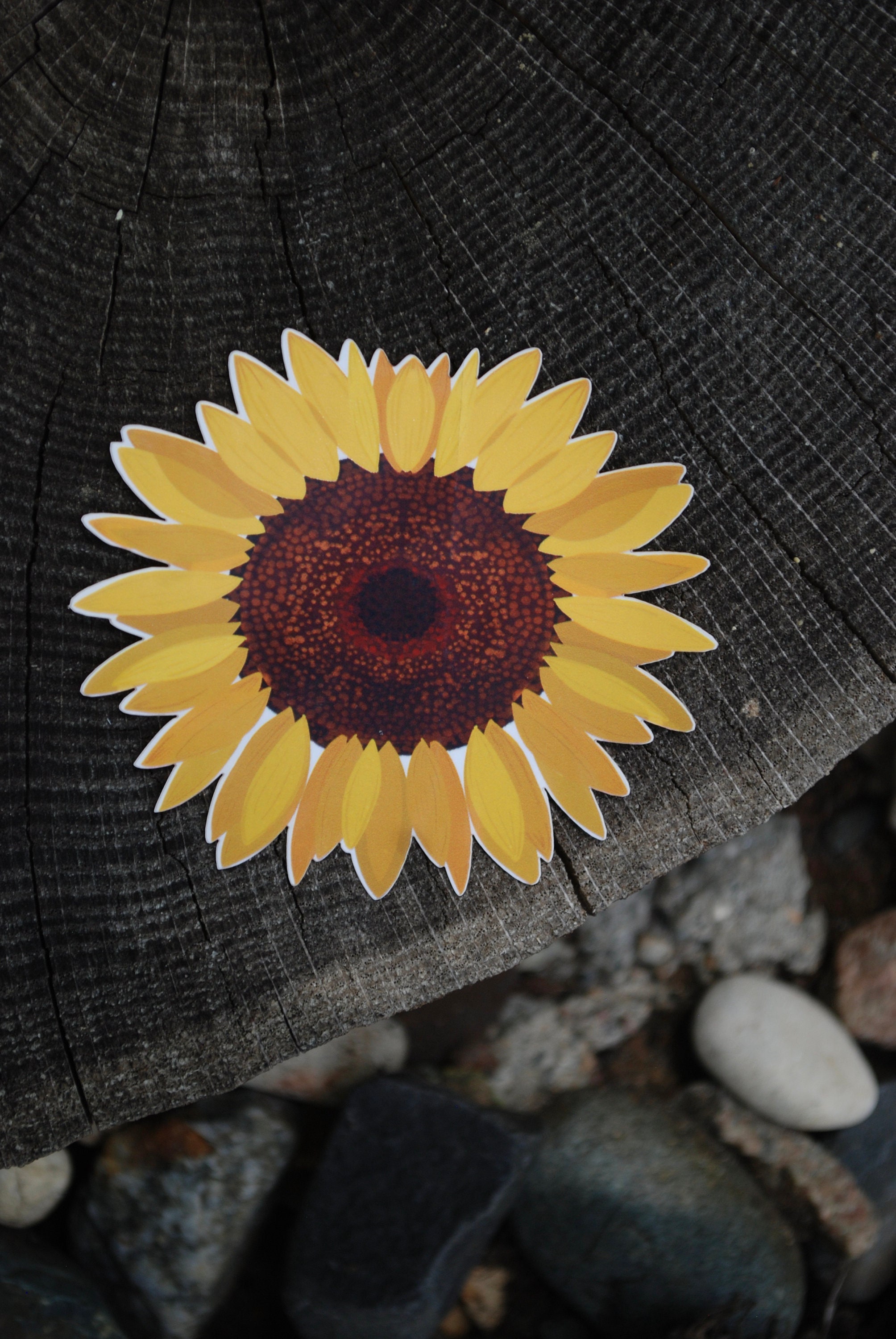 Sunflowers Tumblr Background