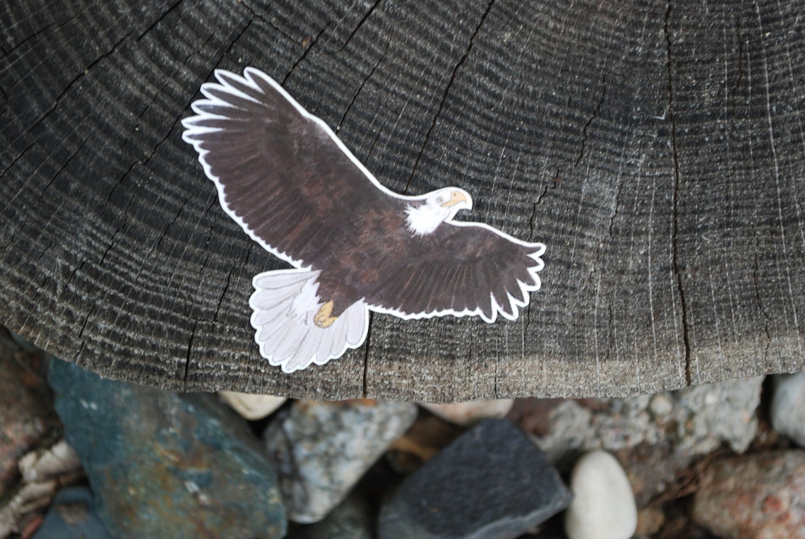 Bald Eagle Sticker Bald Eagle Birthday Gift Teacher Gift - Etsy