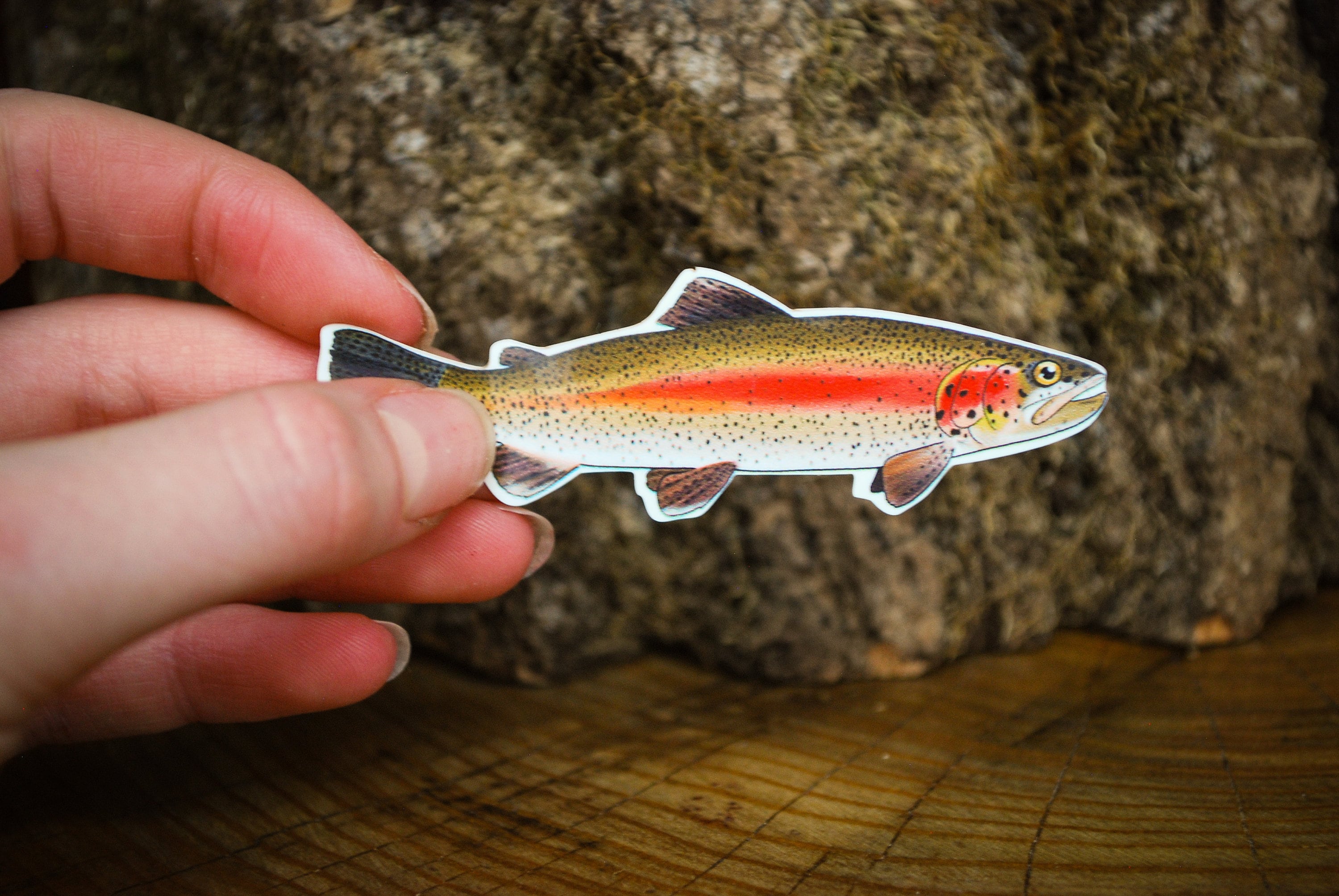Rainbow Trout Sticker Waterproof Sticker Trout Decal Fishing Label ...