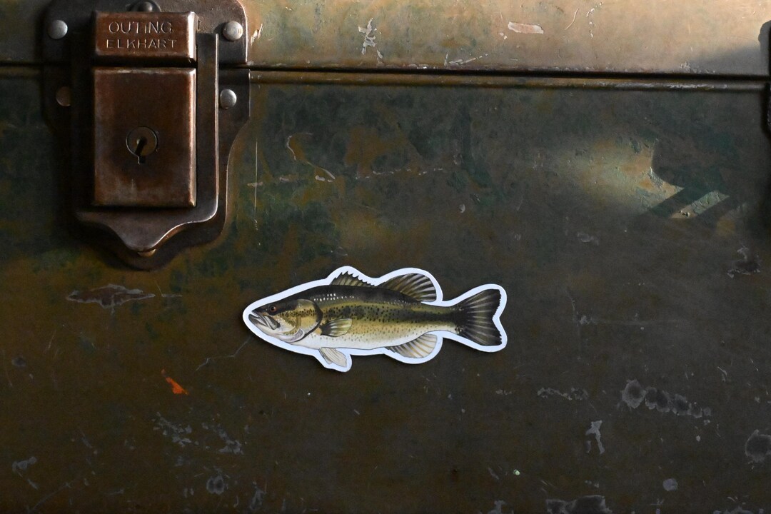 Largemouth Bass Magnet: Hand-drawn Fisherman Gift - Etsy